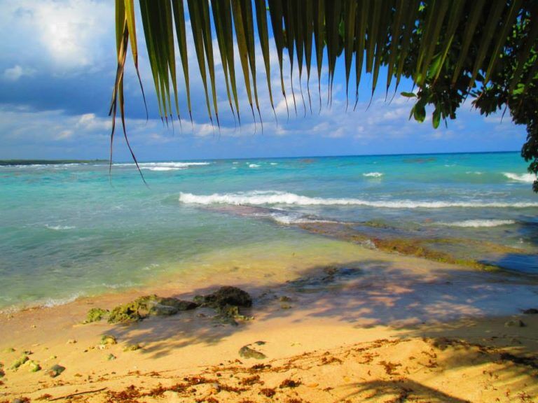 Island Fever: The 4 Stages and How to Cure Them